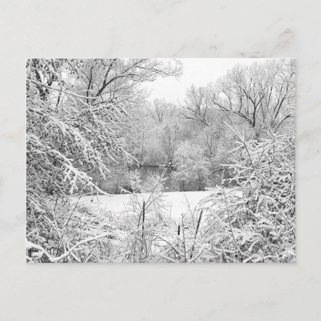 Winter Snow At Huron River Postcard | Zazzle
