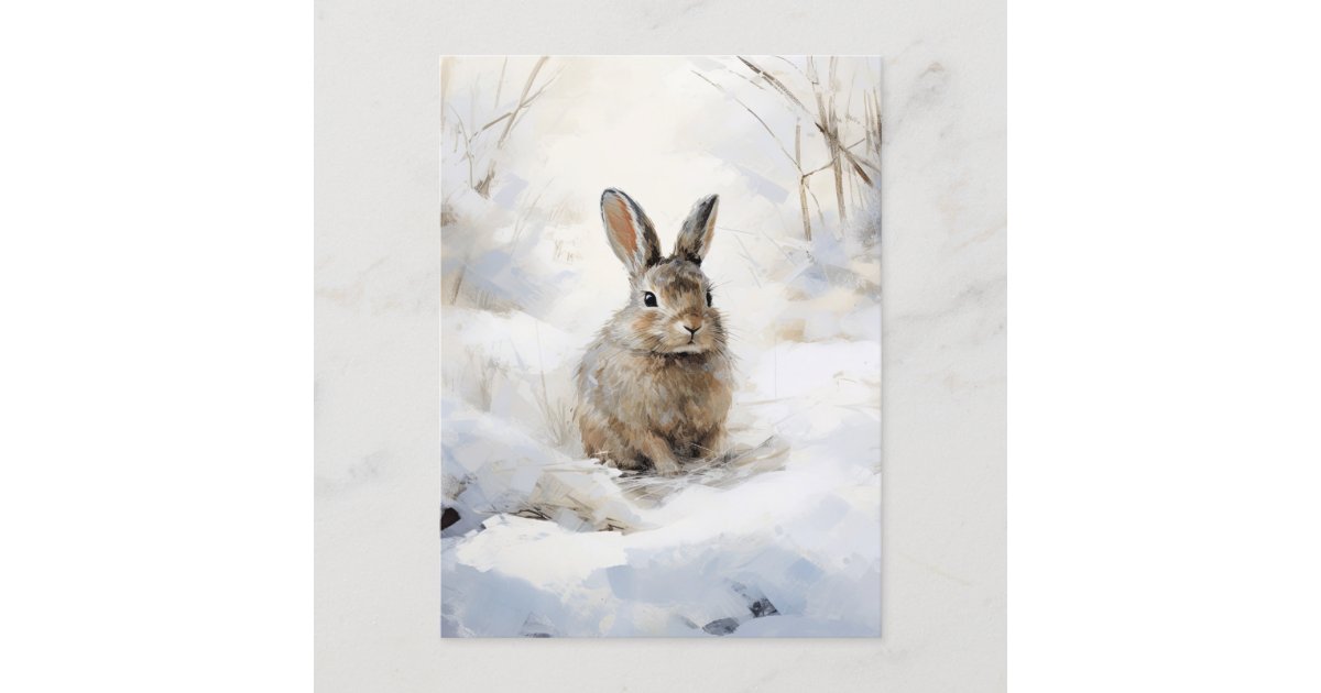 Winter Snow Rabbit Postcard | Zazzle
