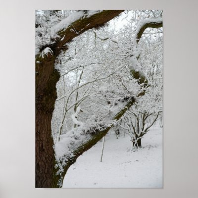 Winter Scene Posters & Prints | Zazzle