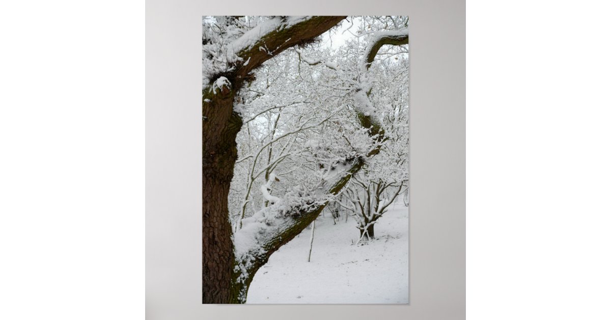 Winter Snow Scene Poster Print | Zazzle