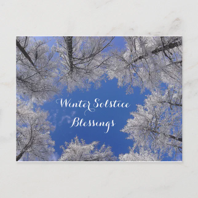 Winter Solstice Blessings Winter Trees and Sky Postcard | Zazzle