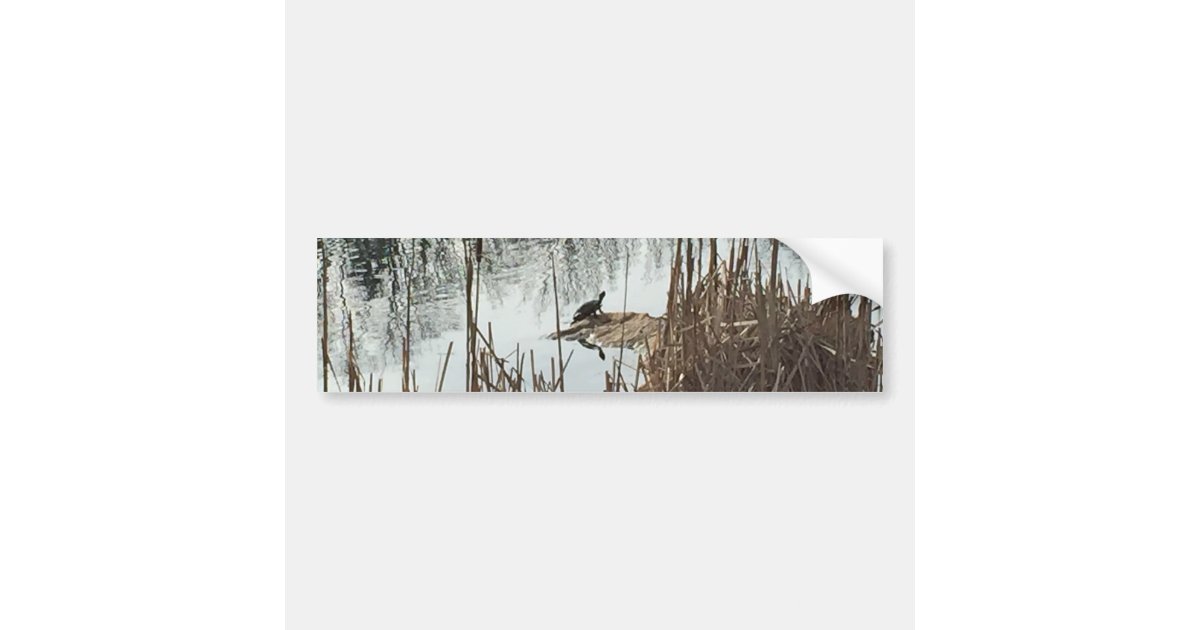 Winter Solstice Bumper Sticker | Zazzle