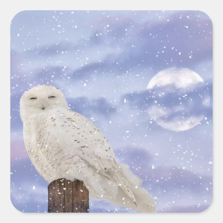 Winter solstice square sticker | Zazzle