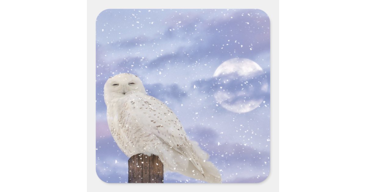 Winter solstice square sticker | Zazzle