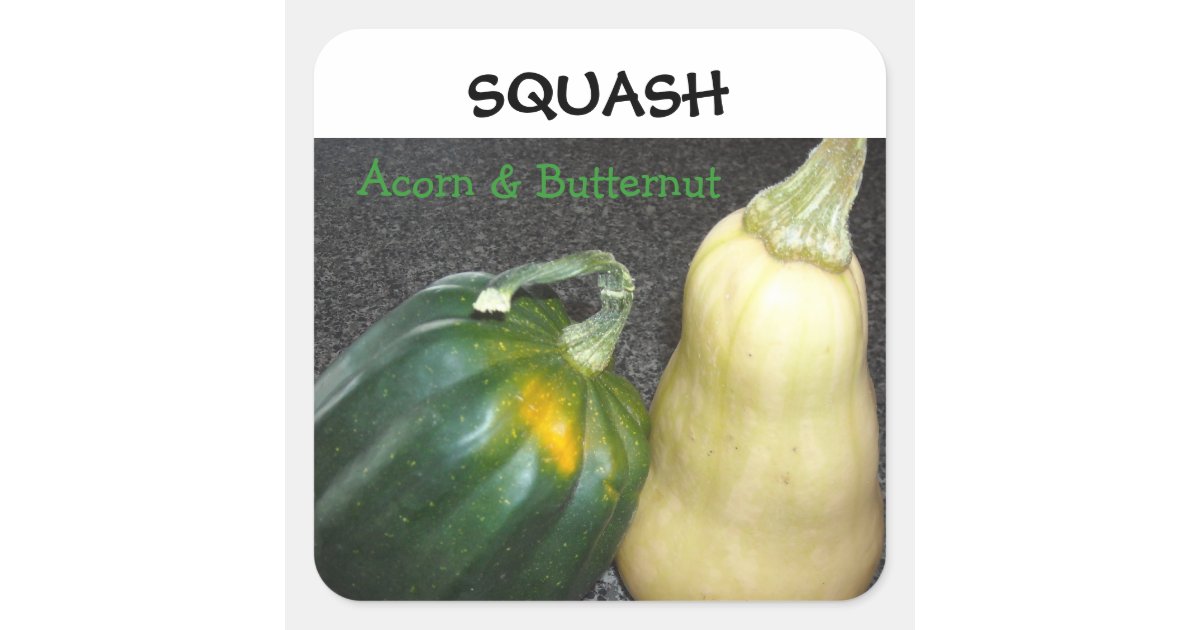 Winter Squash Square Sticker | Zazzle