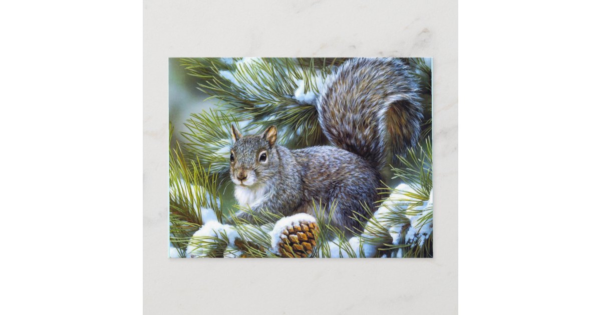 Winter Squirrel Postcard | Zazzle
