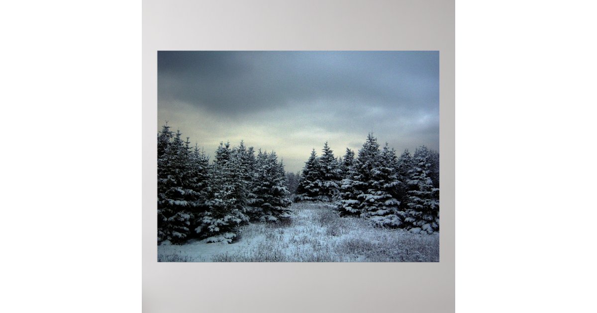 Winter Storm Poster | Zazzle