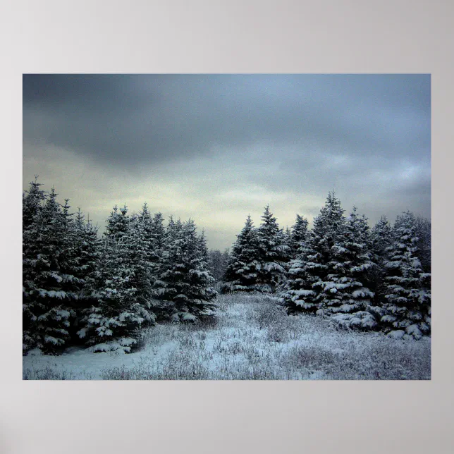 Winter Storm Poster | Zazzle