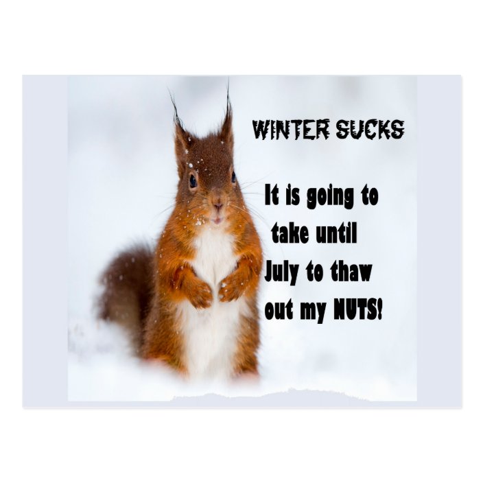 Winter Sucks Postcard | Zazzle.com