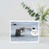 Winter sucks postcard | Zazzle