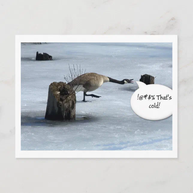 Winter sucks postcard | Zazzle