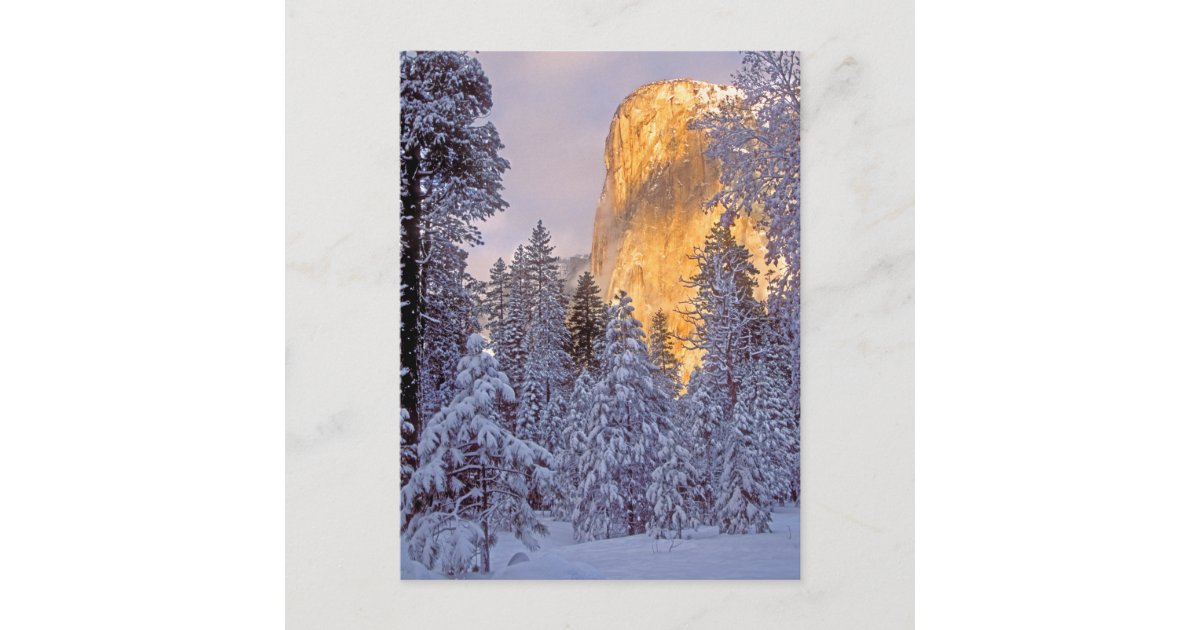 Winter Sunlight on El Capitan at Yosemite Postcard | Zazzle