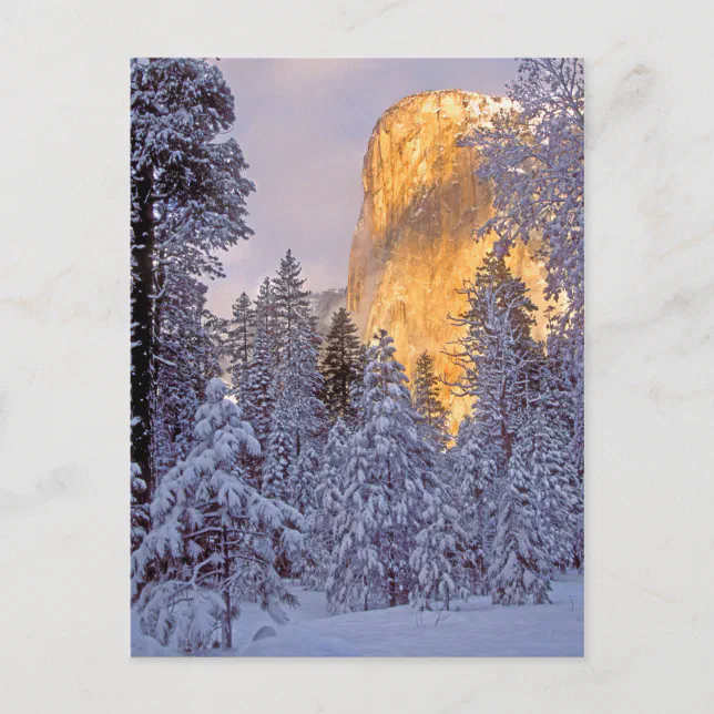 Winter Sunlight on El Capitan at Yosemite Postcard | Zazzle