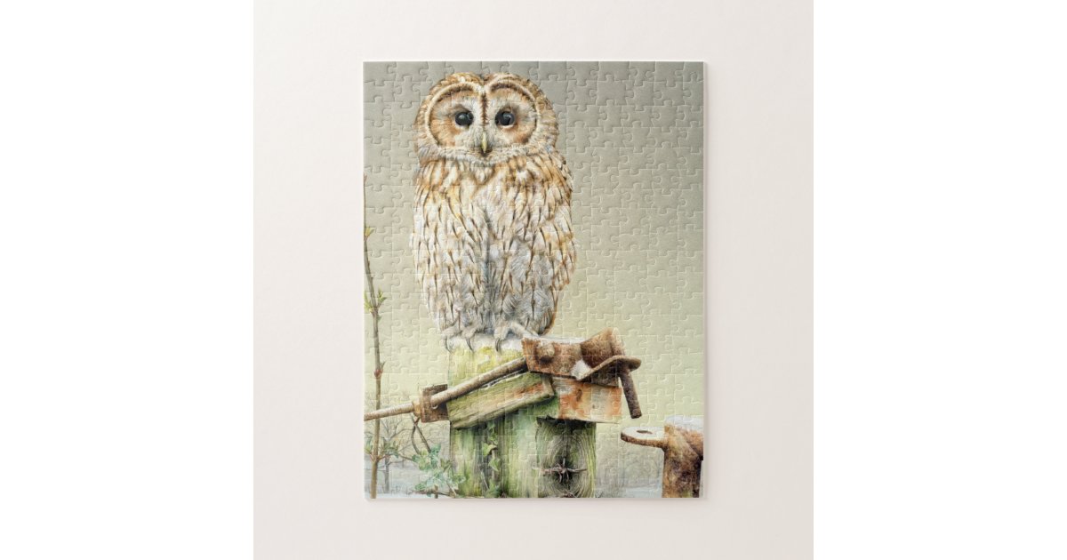 Winter tawny owl bird jigsaw puzzle | Zazzle