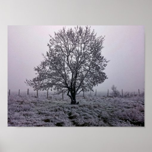 Winter Tree Landscape Poster | Zazzle