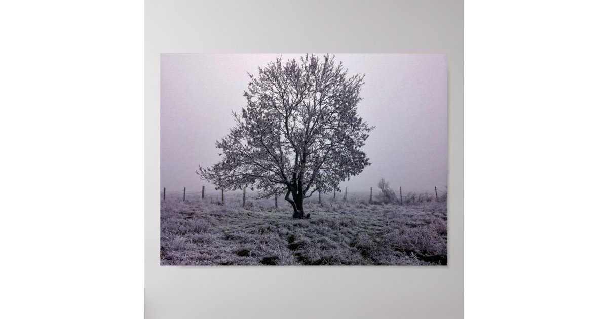 Winter Tree Landscape Poster | Zazzle