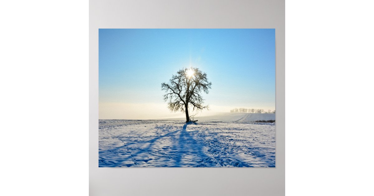 Winter Tree - - Poster | Zazzle