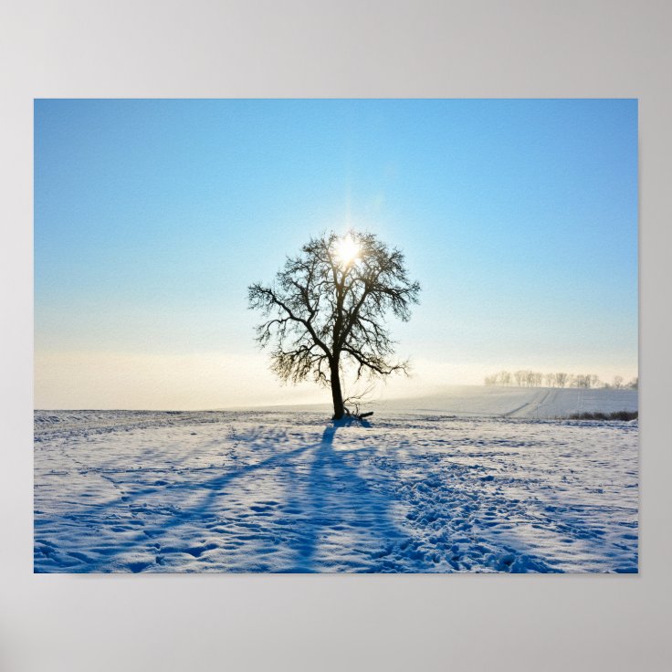 Winter Tree - - Poster | Zazzle