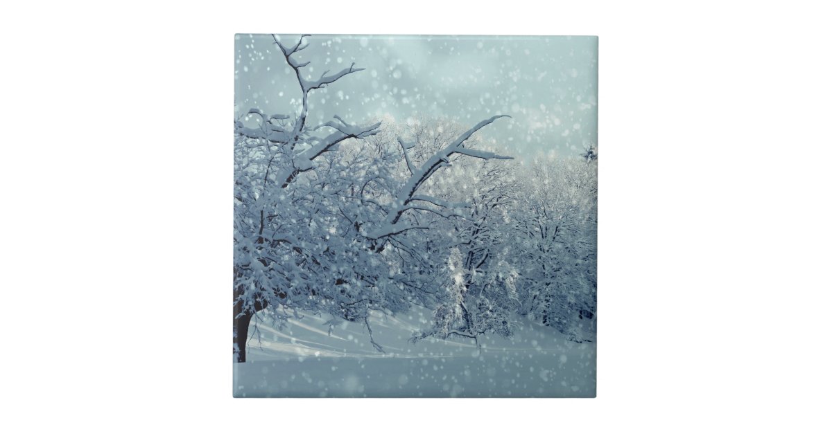Winter Trees Landscape Ceramic Tile | Zazzle