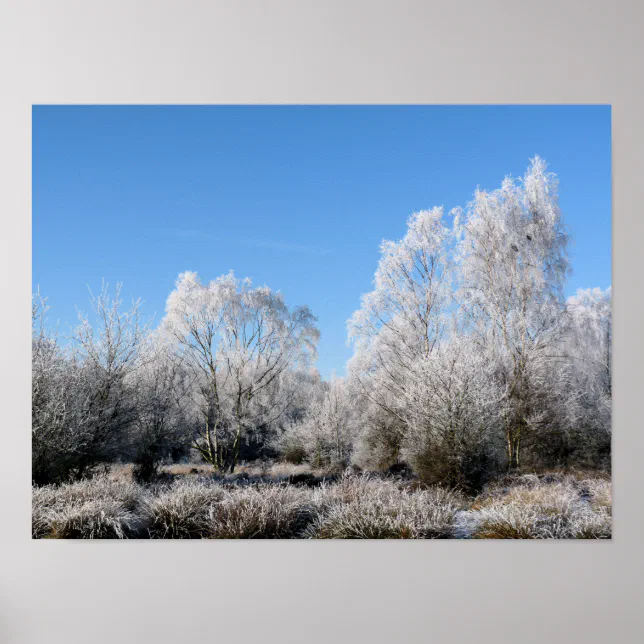 WINTER TREES POSTER | Zazzle