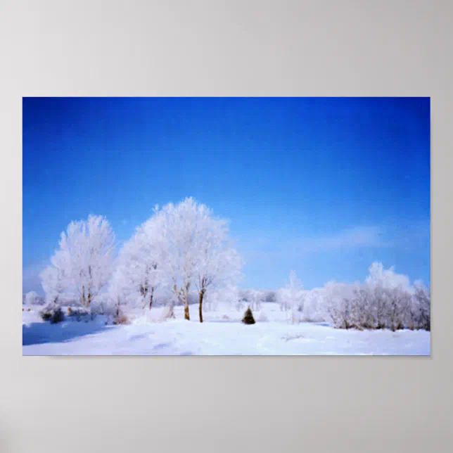 Winter Trees Poster | Zazzle