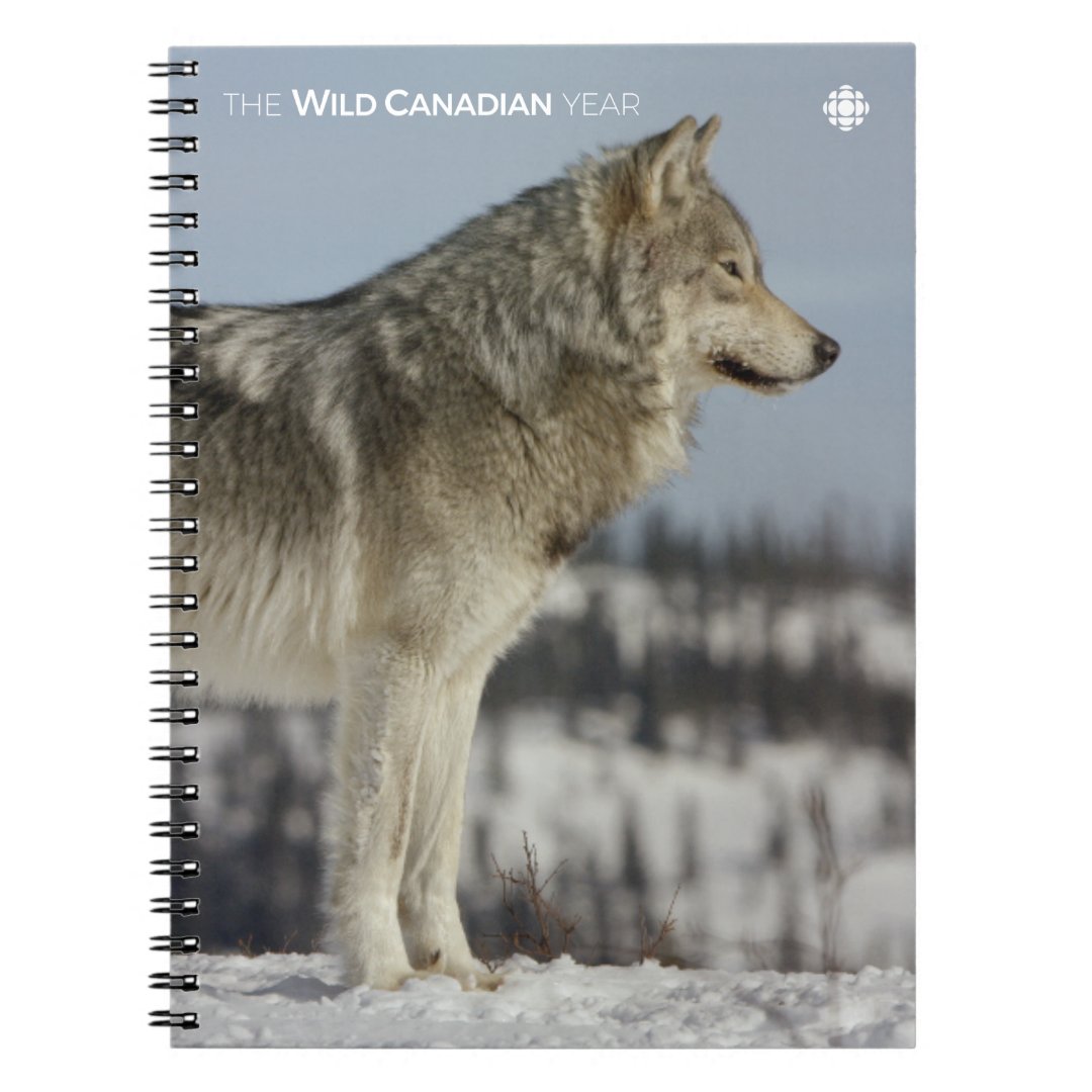 Winter - Wolf Notebook | Zazzle