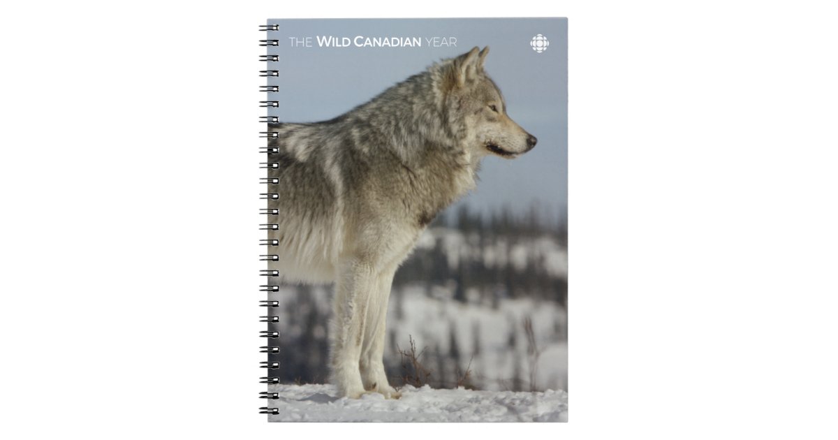 Winter - Wolf Notebook | Zazzle