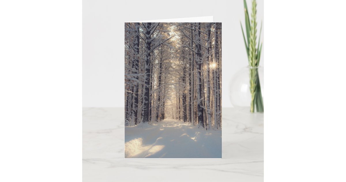 Winter Wonderland Blank Greeting Card | Zazzle
