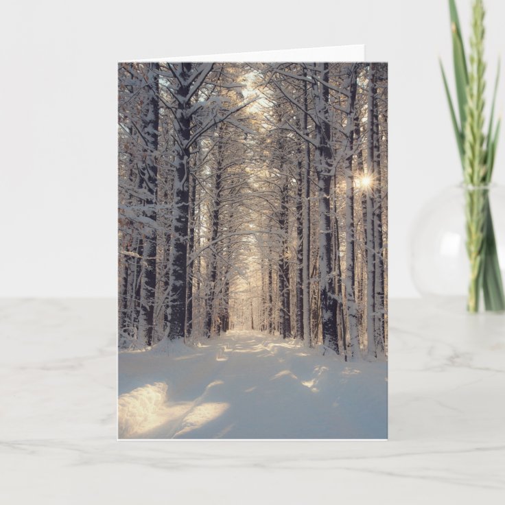 Winter Wonderland Blank Greeting Card | Zazzle