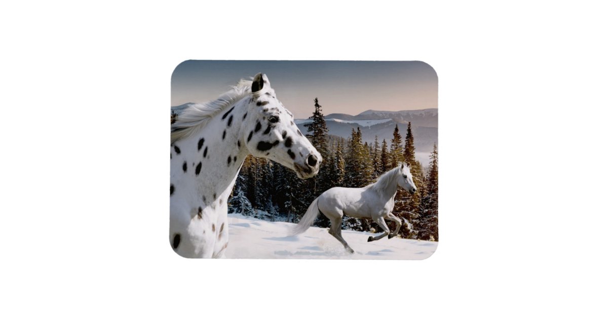 Winter Wonderland Magnet | Zazzle
