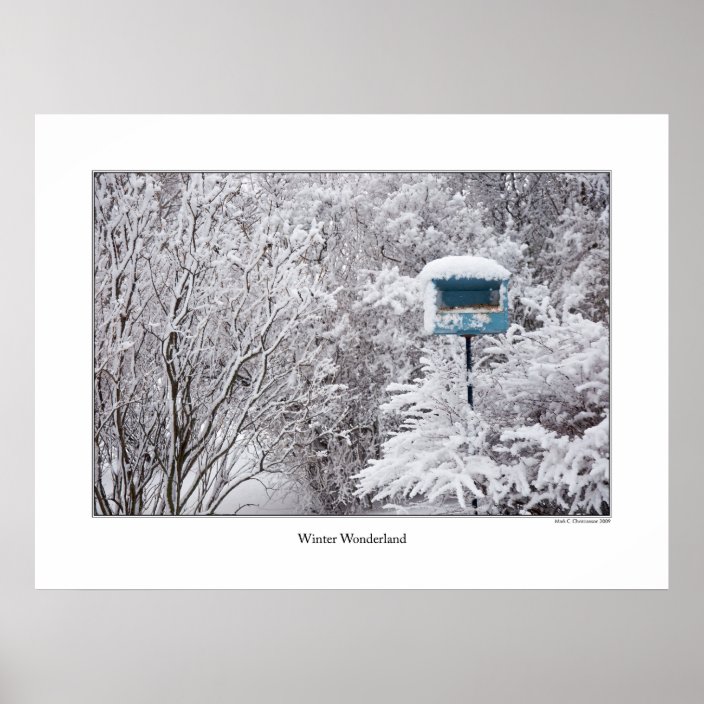 Winter Wonderland Poster | Zazzle.com