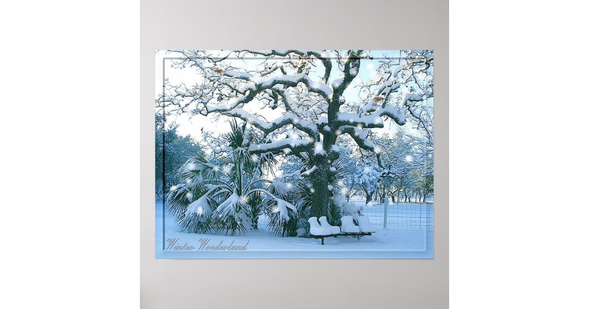 winter wonderland Poster | Zazzle