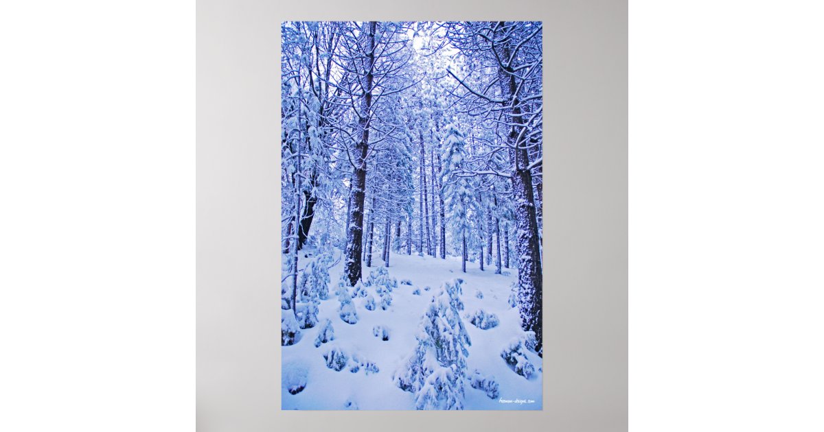 Winter Wonderland Poster | Zazzle