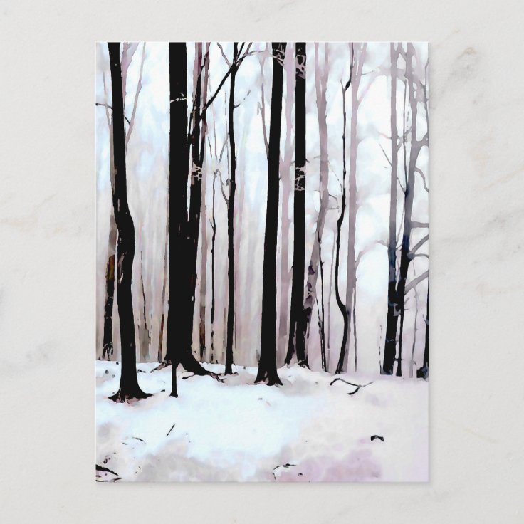 Winter woods scene postcard | Zazzle