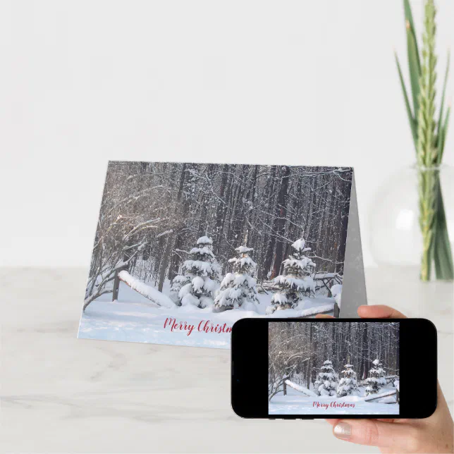 Winter Woods with pine tree Card | Zazzle