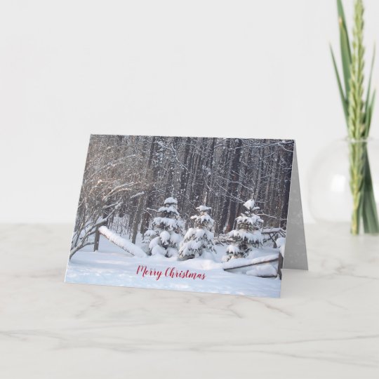 Winter Woods with pine tree Card | Zazzle.com