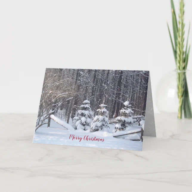 Winter Woods with pine tree Card | Zazzle