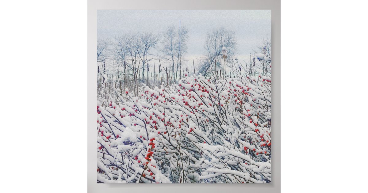 winterberry and cattails poster | Zazzle