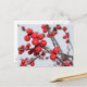 Winterberry Postcard | Zazzle