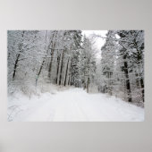 winterland poster | Zazzle