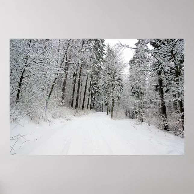 winterland poster | Zazzle