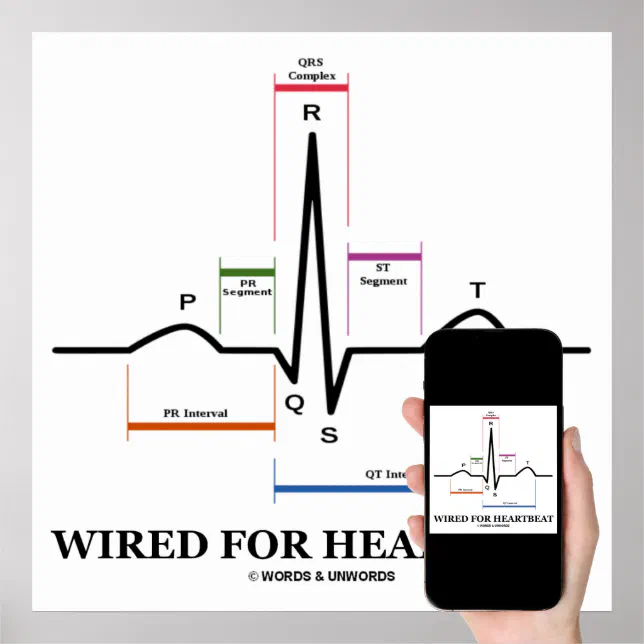 Wired For Heartbeat (ECG / EKG) Electrocardiogram Poster | Zazzle