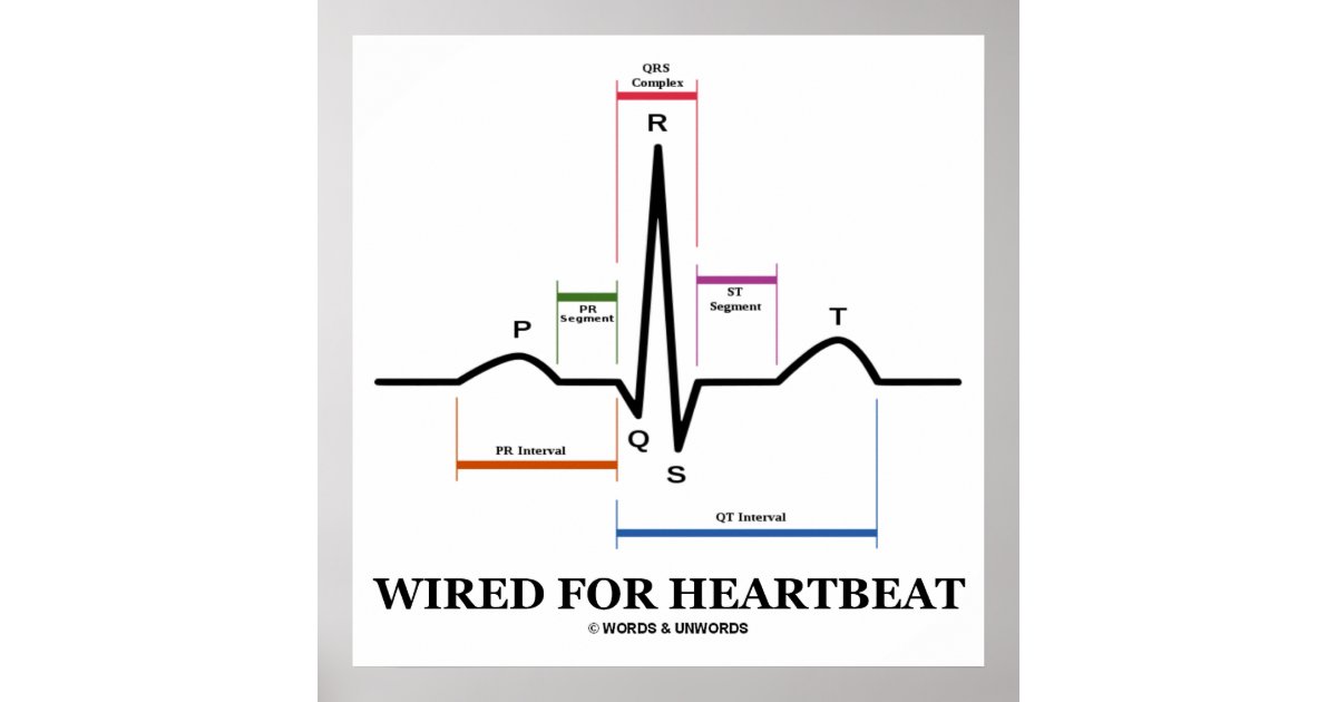 Wired For Heartbeat (ECG / EKG) Electrocardiogram Poster | Zazzle