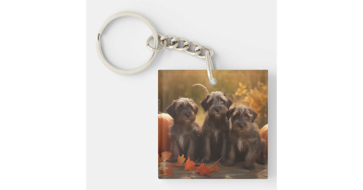 Wirehaired Pointing Griffon Puppy Autumn Keychain | Zazzle