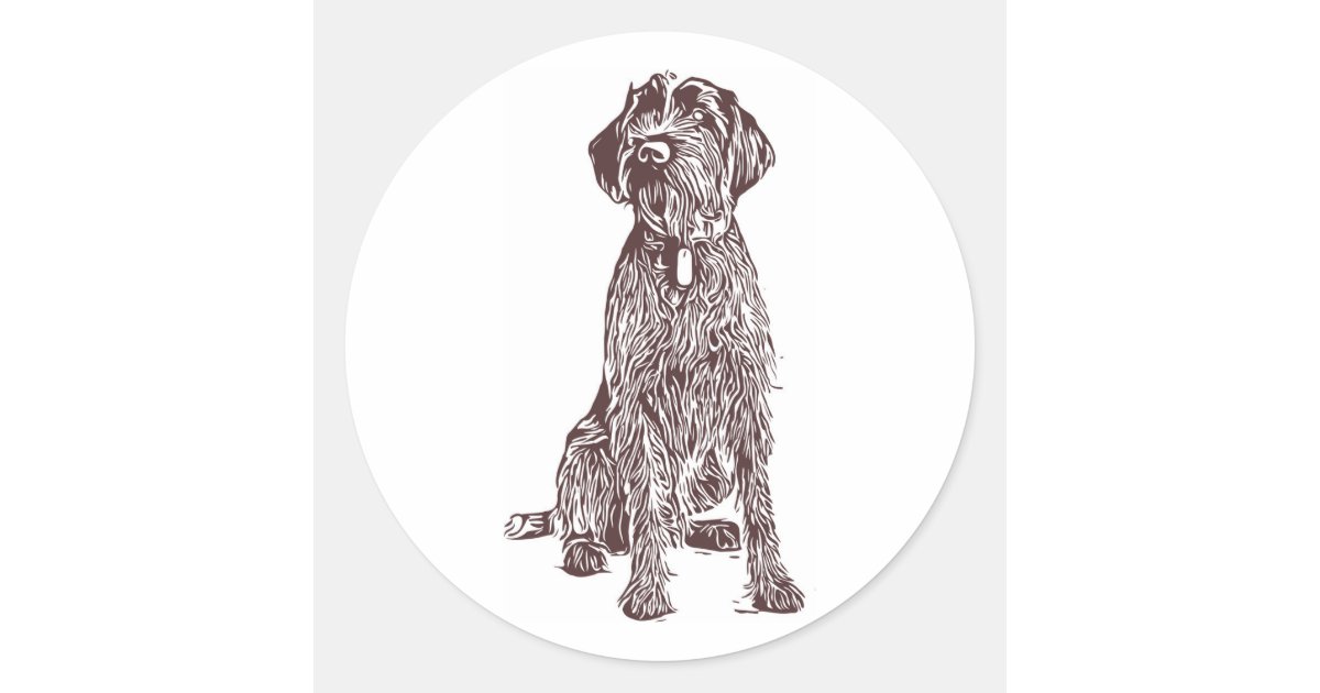 Wirehaired Pointing Griffon Sticker | Zazzle