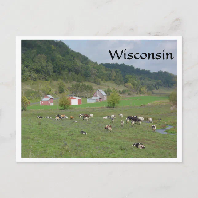 Wisconsin Pasture Postcard | Zazzle