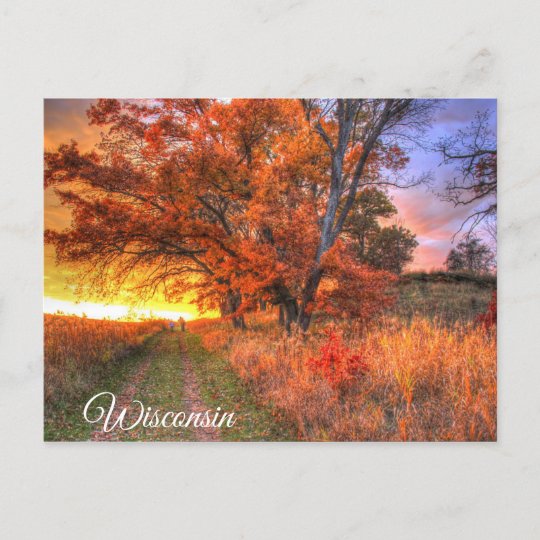 Wisconsin Postcard | Zazzle.com