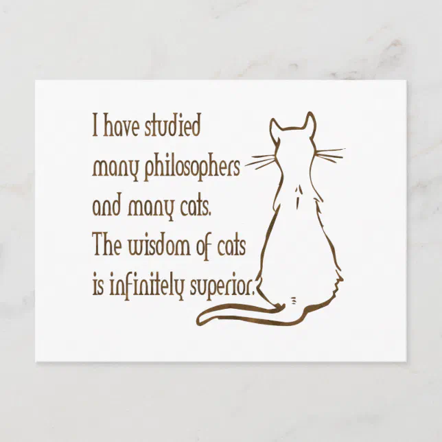Wisdom of Cats Postcard | Zazzle
