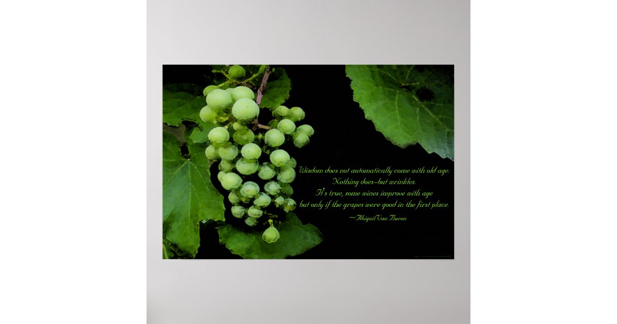 Wisdom Quote Poster | Zazzle
