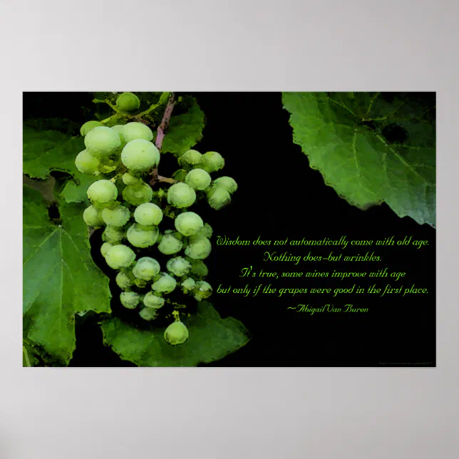 Wisdom Quote Poster | Zazzle